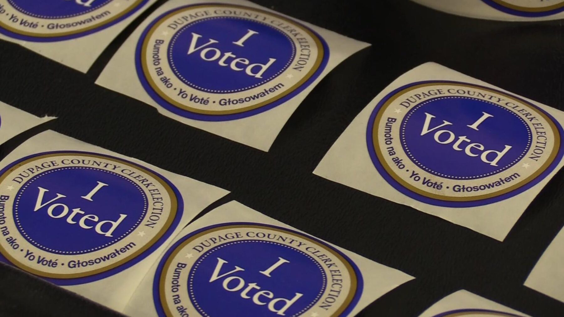 14 Naperville Residents Ask for Your Vote | NCTV17