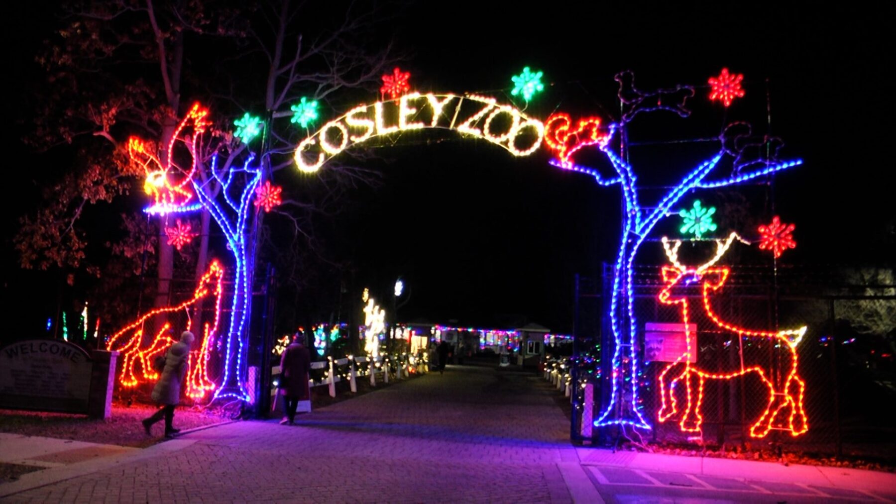 39th Annual Festival of Lights and Tree Sales at Cosley Zoo