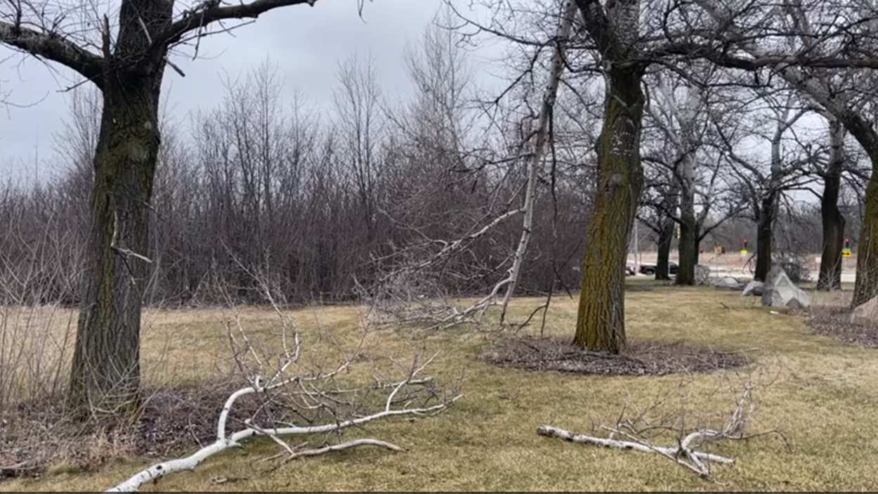 Brief tornado touchdown in Naperville says National Weather Service ...