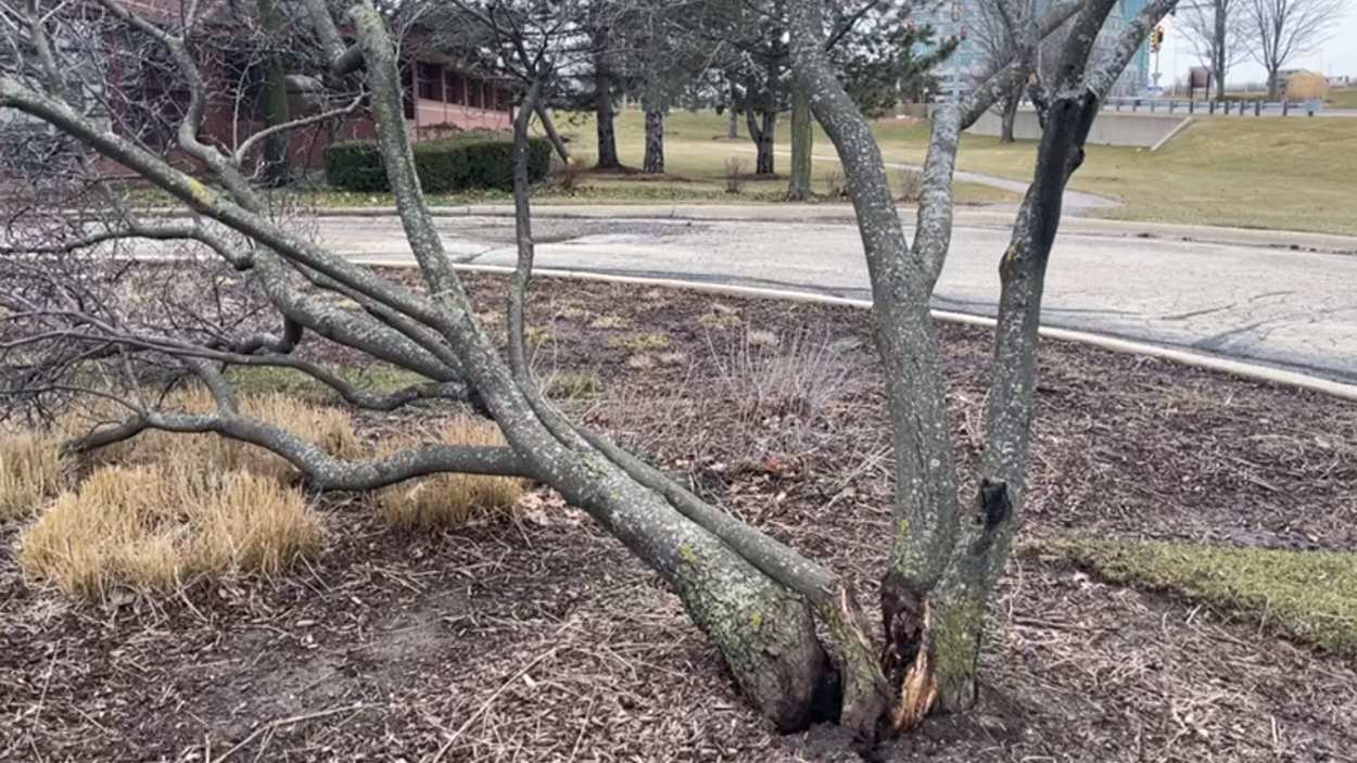 Brief tornado touchdown in Naperville says National Weather Service ...