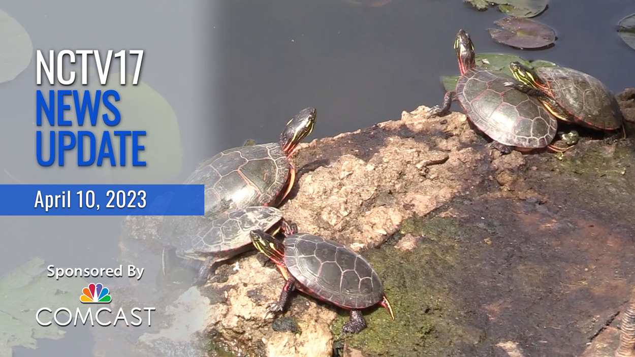Wildlife reminders | Pedestrian & bike survey | Free paper shredding ...
