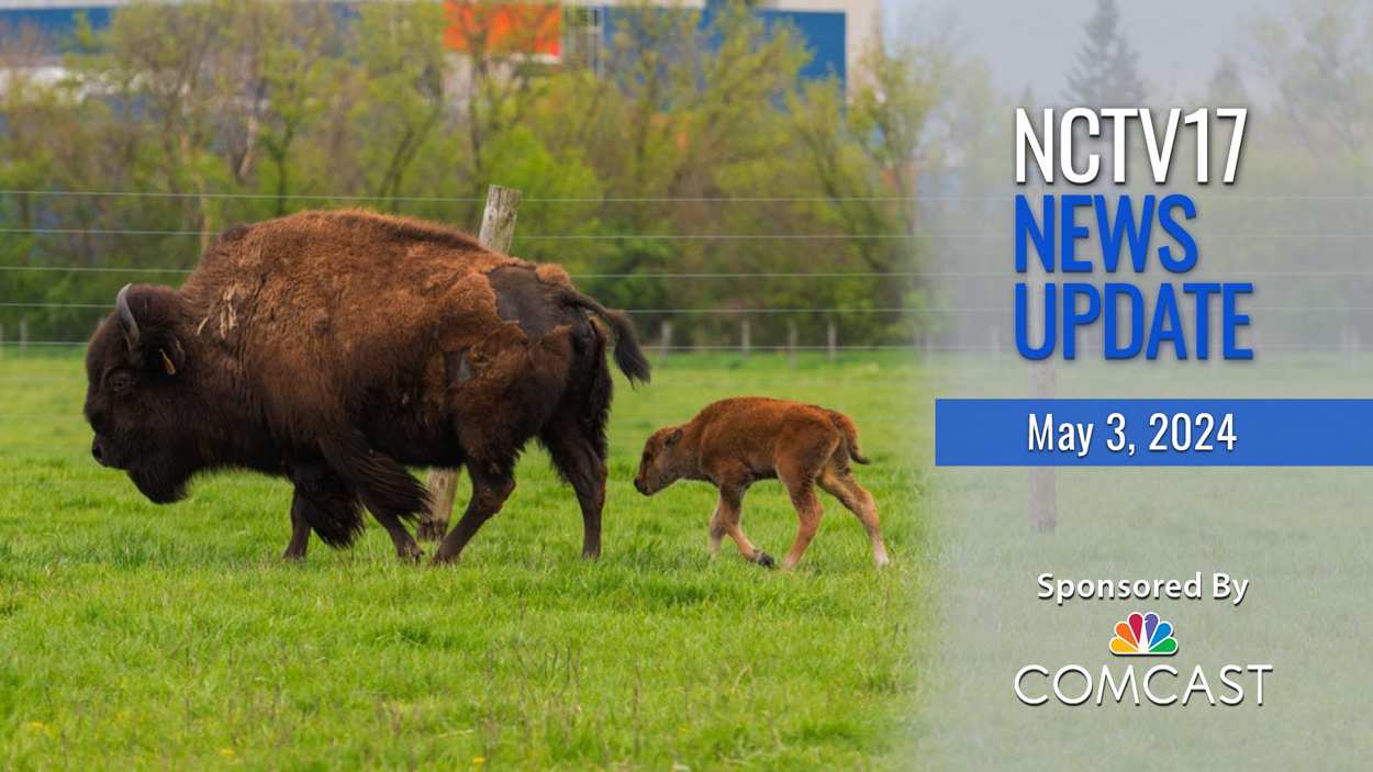Fermilab baby bison | Dancing with the Celebrities | Willowbrook ...