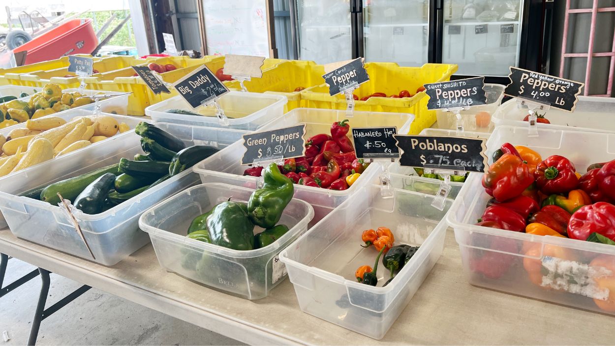 Naperville’s MayneLand Farm nears 50 years of fresh, local produce | NCTV17