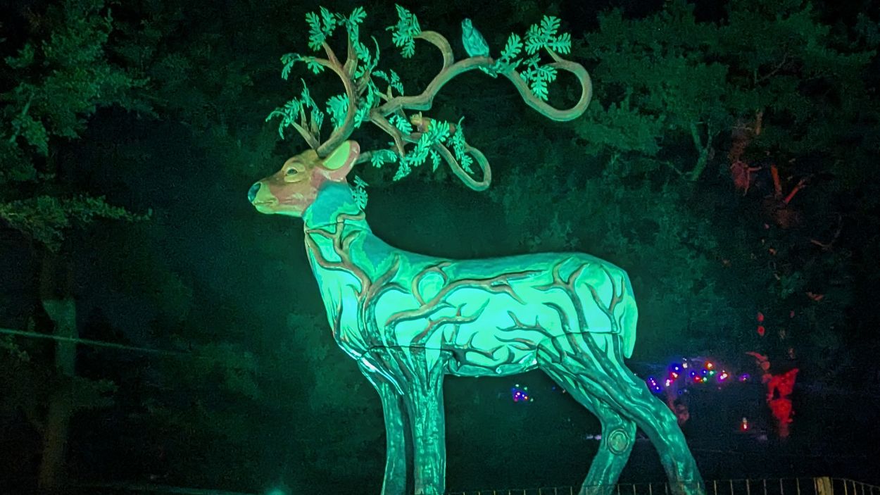 The Morton Arboretum’s Illumination adds Vivid Creatures art exhibits ...